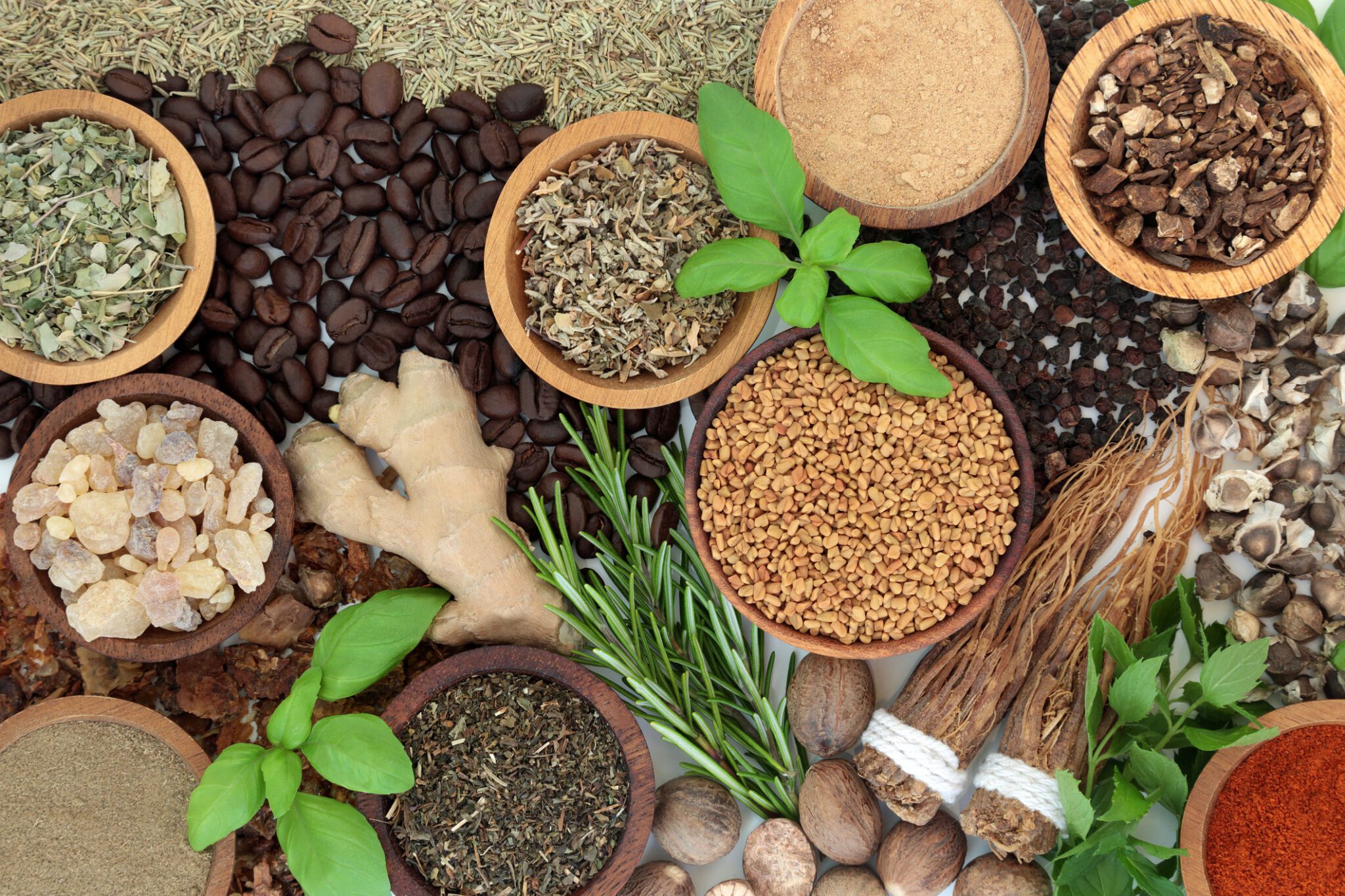 herbs Archives | Psychiatry Redefined